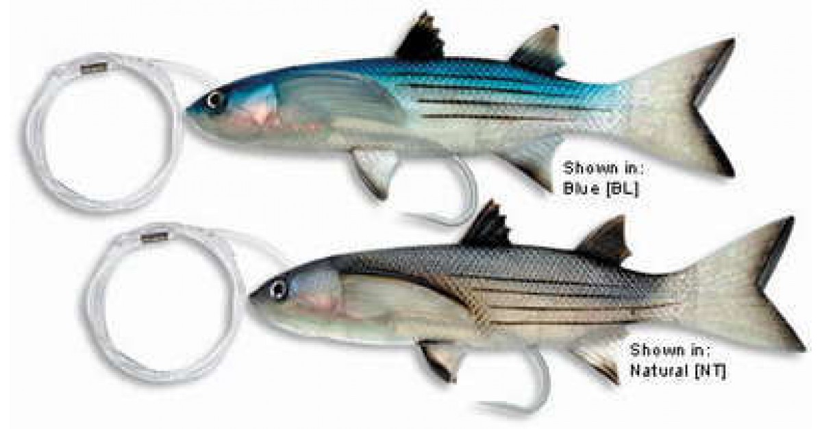 williamson live mullet | baits soft baits - Tognini