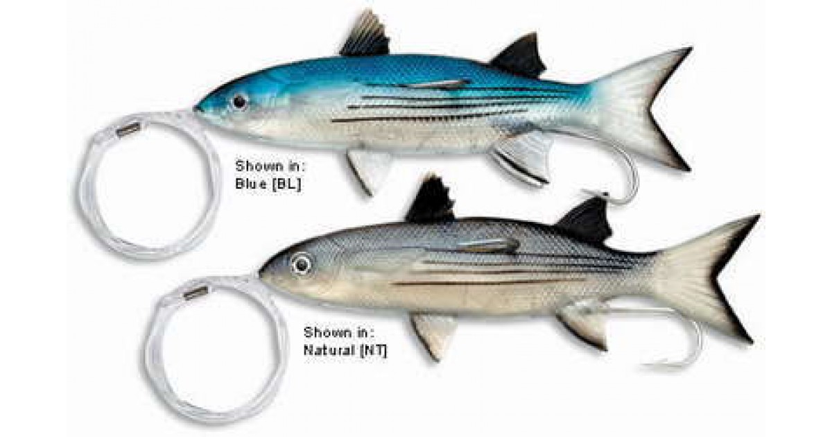 williamson split tail mullet | esche gommate